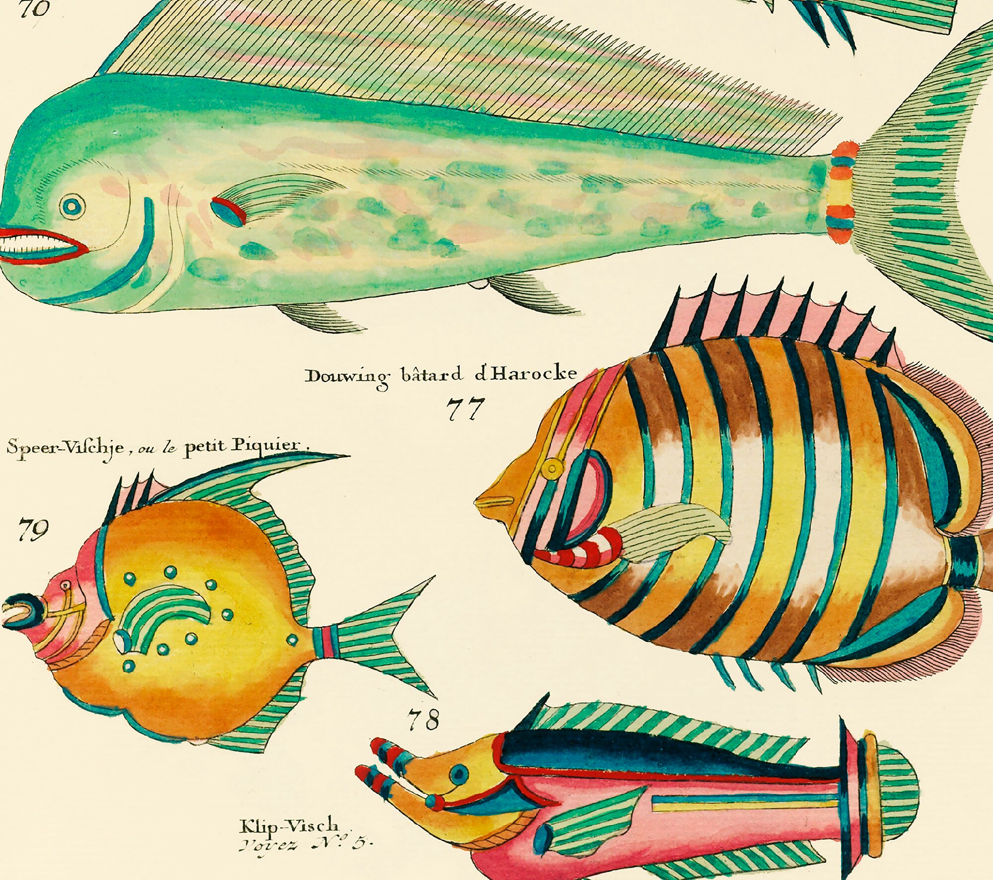 East Indies Colorful and Surreal Fish illustrations 73 Art | Etsy