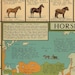 Horse Map of the World on Canvas Decorative Scroll Map of the - Etsy
