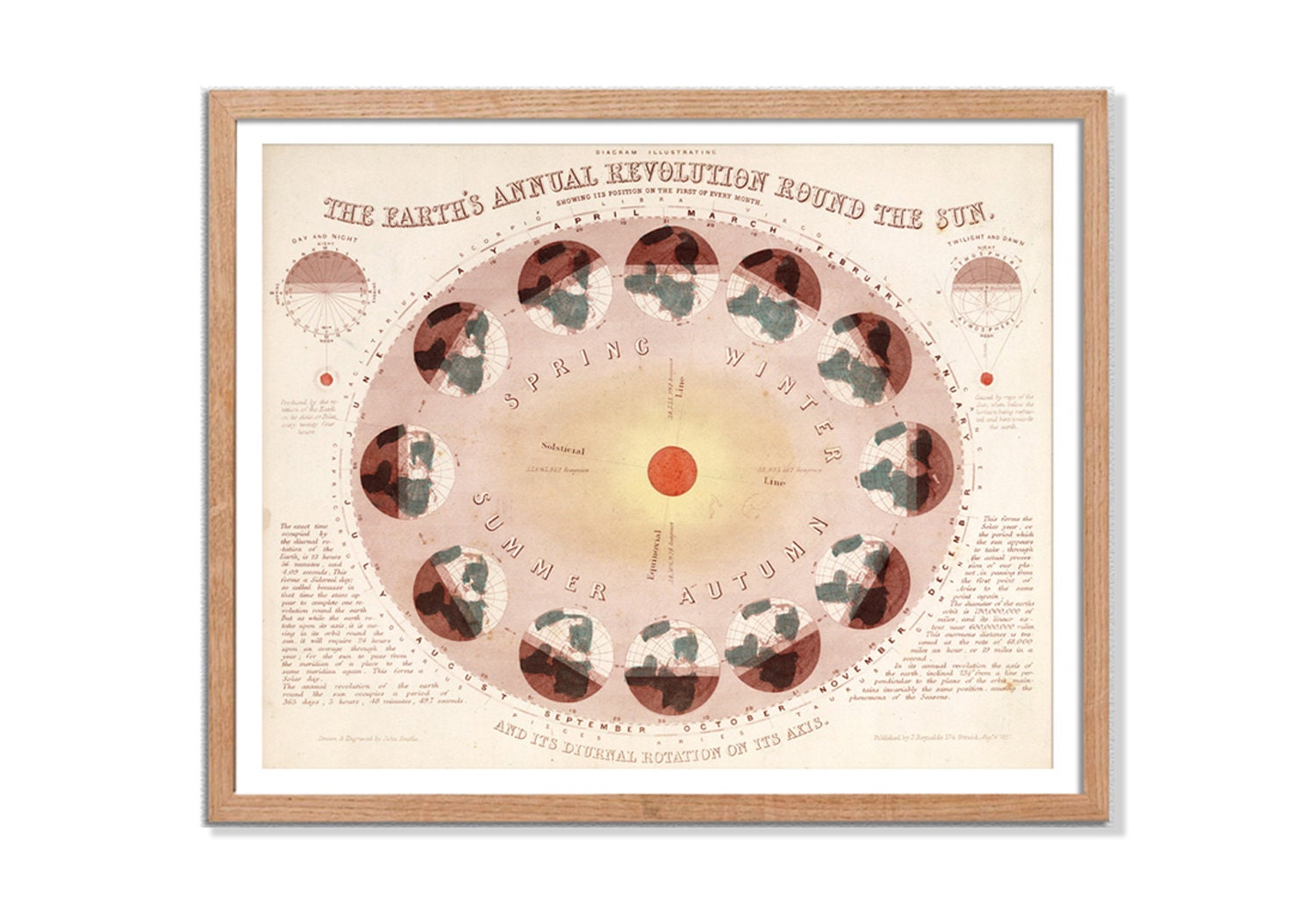Earth's Revolution Around the Sun Vintage Celestial Astrological ...