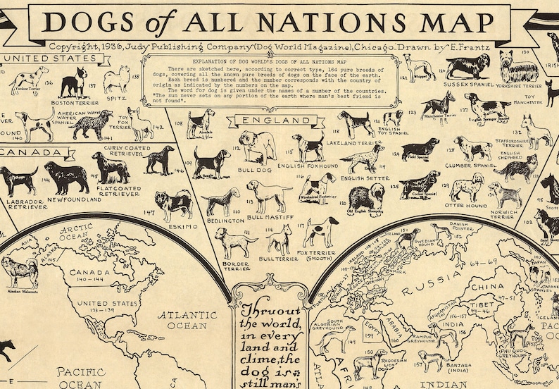 Vintage Dog Breeds Map Canvas - Antique Roll Down Wall Decor - Etsy
