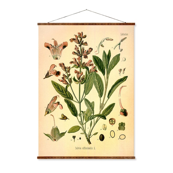 Botanical Canvas - Etsy