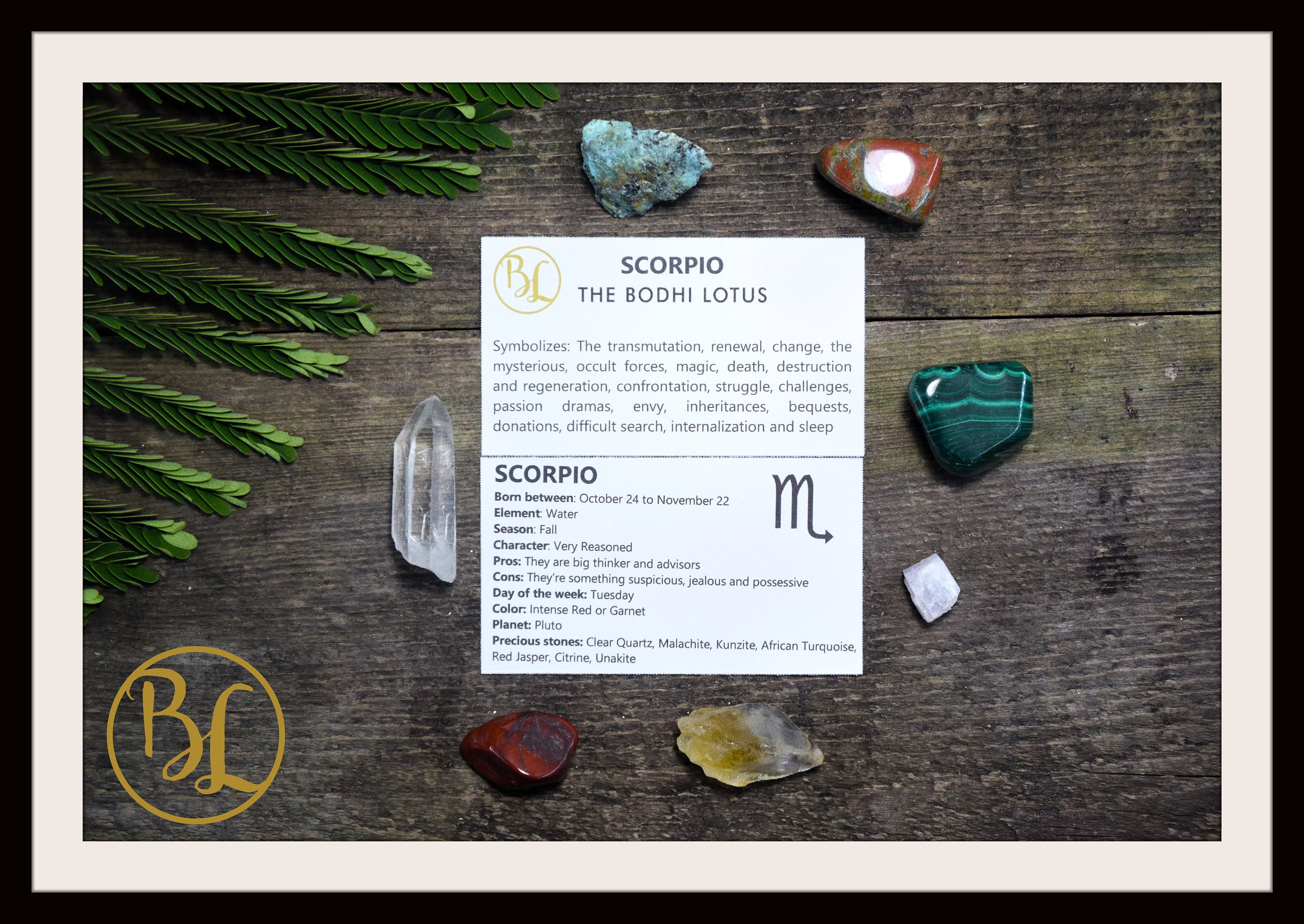 SCORPIO Gemstone Kit 7 Zodiac Scorpio Gemstones Set Healing | Etsy