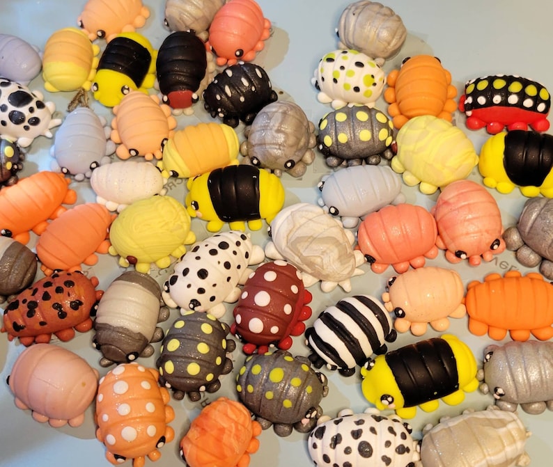 Isopod Bin Label Flair Armadillidums - Etsy