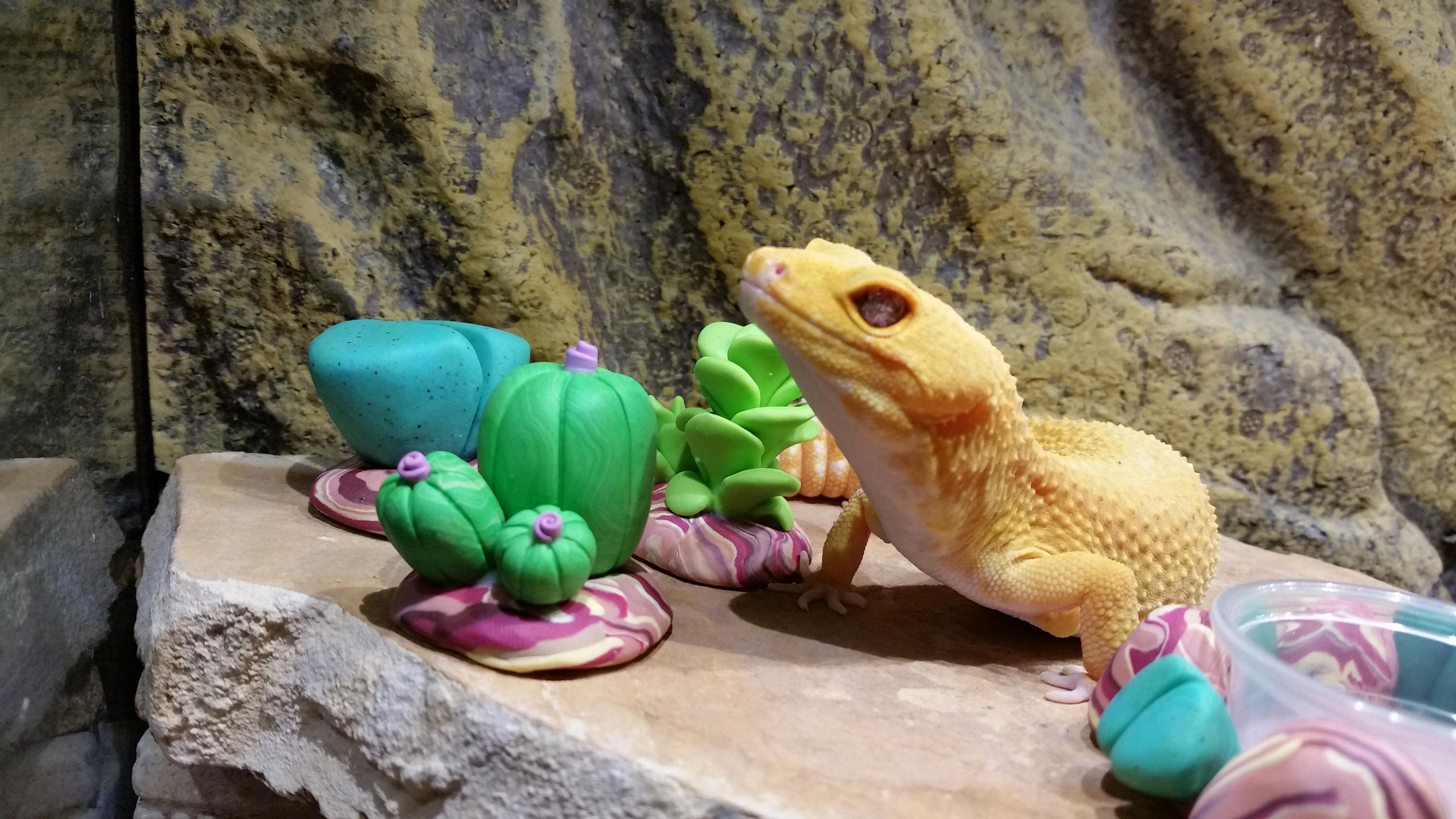 Leopard Gecko Habitat Decor Kit Etsy