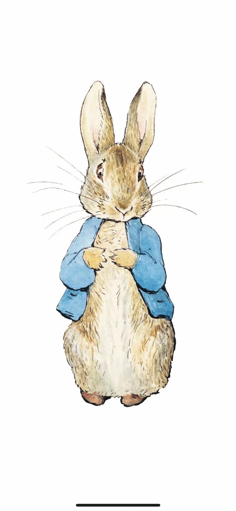 Peter Rabbit Cardboard Cutout 4ft | Etsy UK