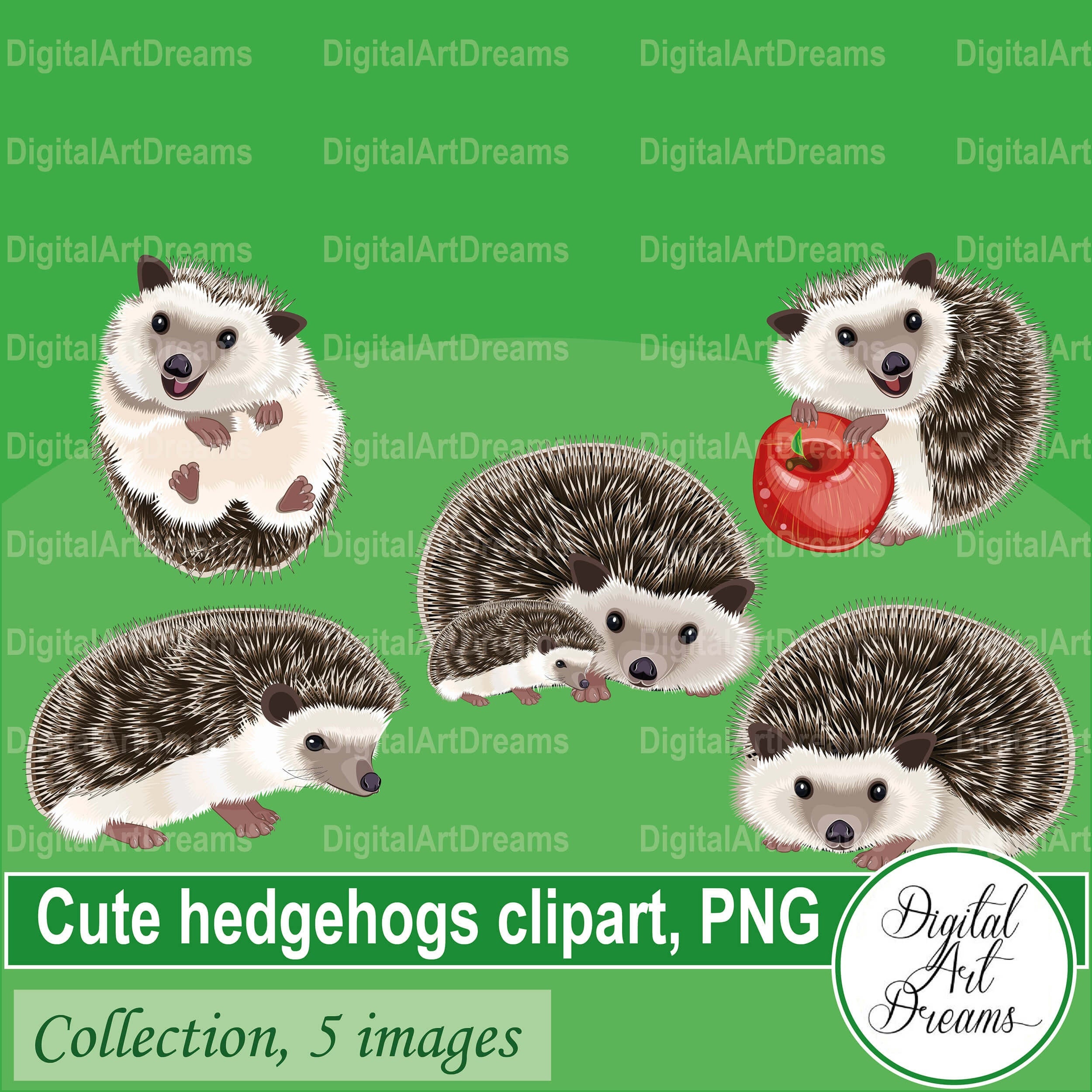 Hedgehog Clipart Hedgehog Png Digital Artwork Hedgehog - Etsy