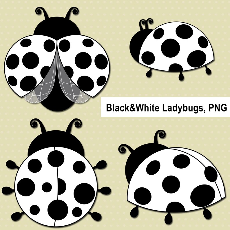 Ladybugs Clip Art Collection PNG Cute Ladybug Black & White | Etsy