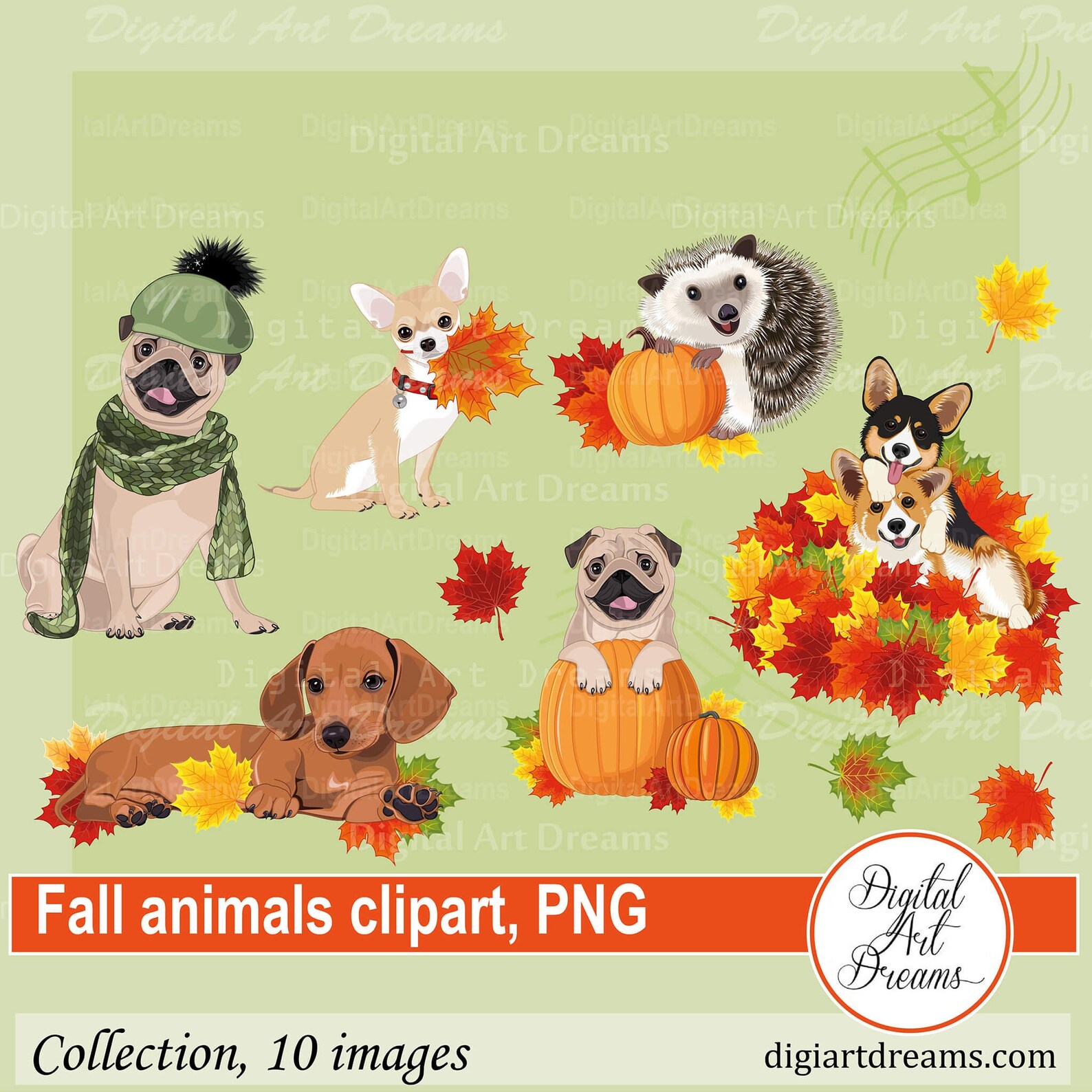 Fall Clipart Png Animal Clipart Hedgehog With Pumpkin Dog | Etsy