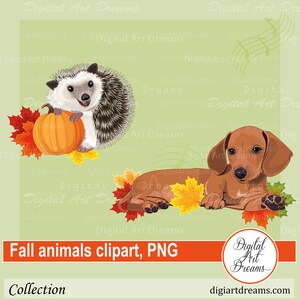 Fall Clipart Png - Animal Clipart, Hedgehog With Pumpkin, Dog Clipart ...
