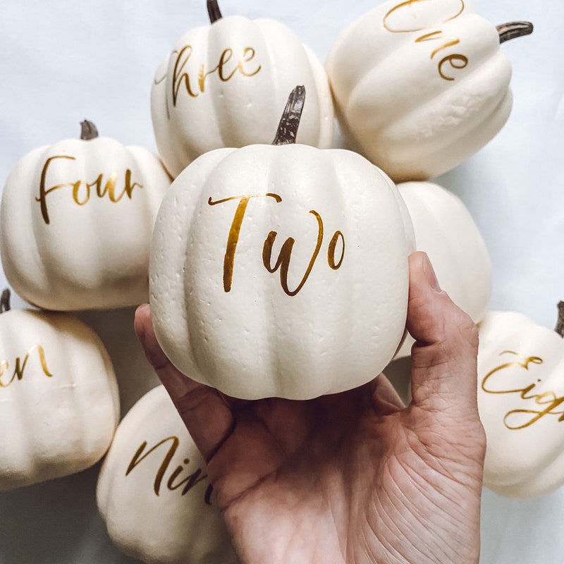 Pumpkin Table Number - Etsy