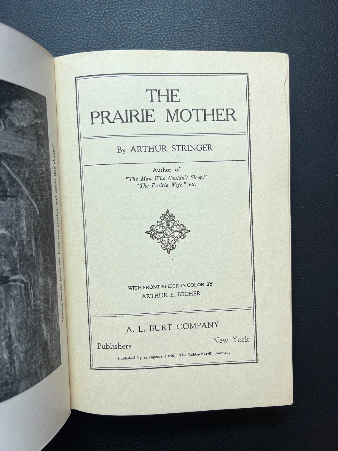 The Prairie Mother by Arthur Stringer (copyright 1920) - Etsy