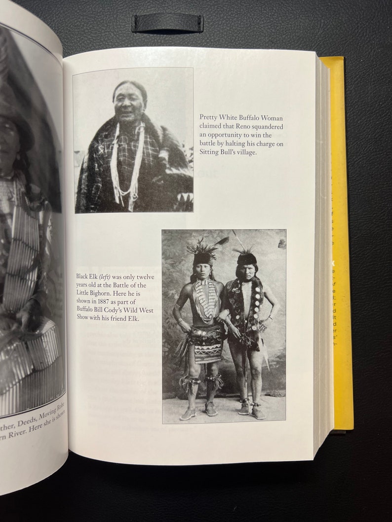 The Last Stand - Custer, Sitting Bull, and the Battle of the Little ...