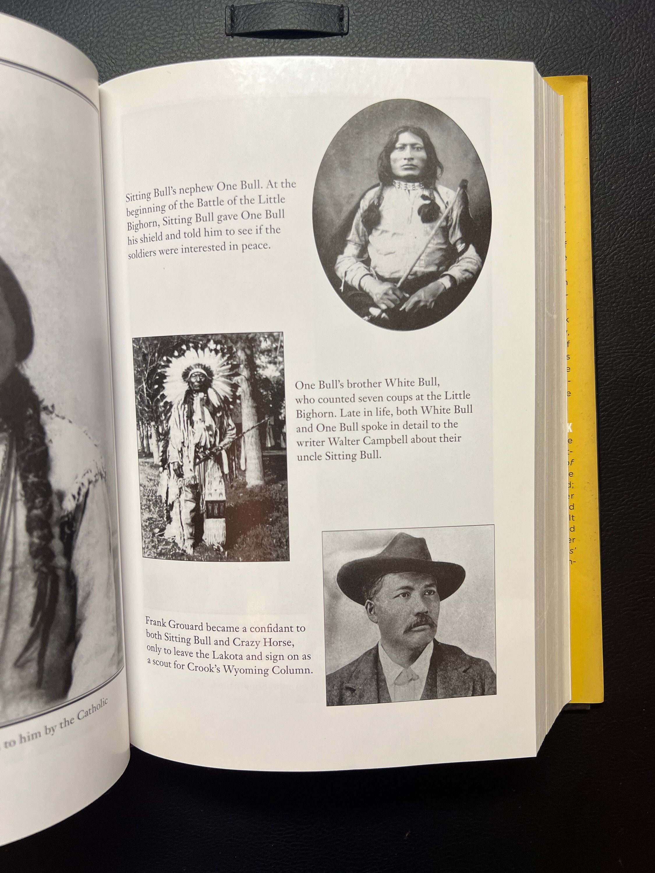 The Last Stand - Custer, Sitting Bull, and the Battle of the Little ...