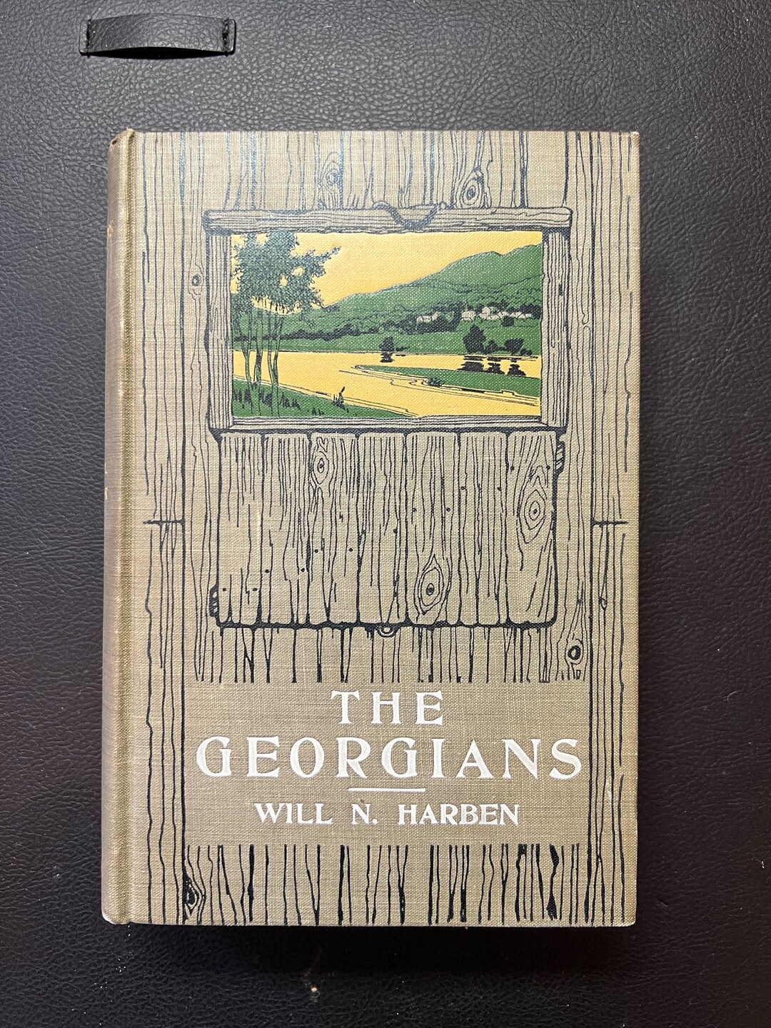 The Georgians by Will N. Harben (copyright 1904) - Etsy