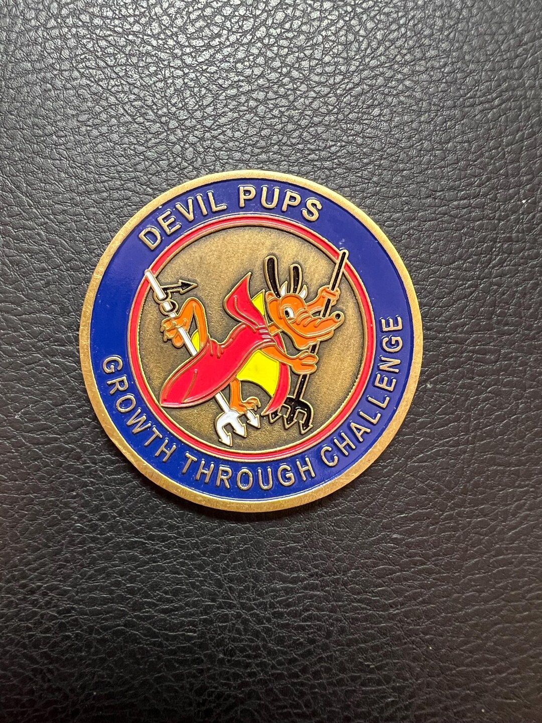 Vintage US Marine - Camp Pendleton - Devil Pups Challenge Coin - Etsy