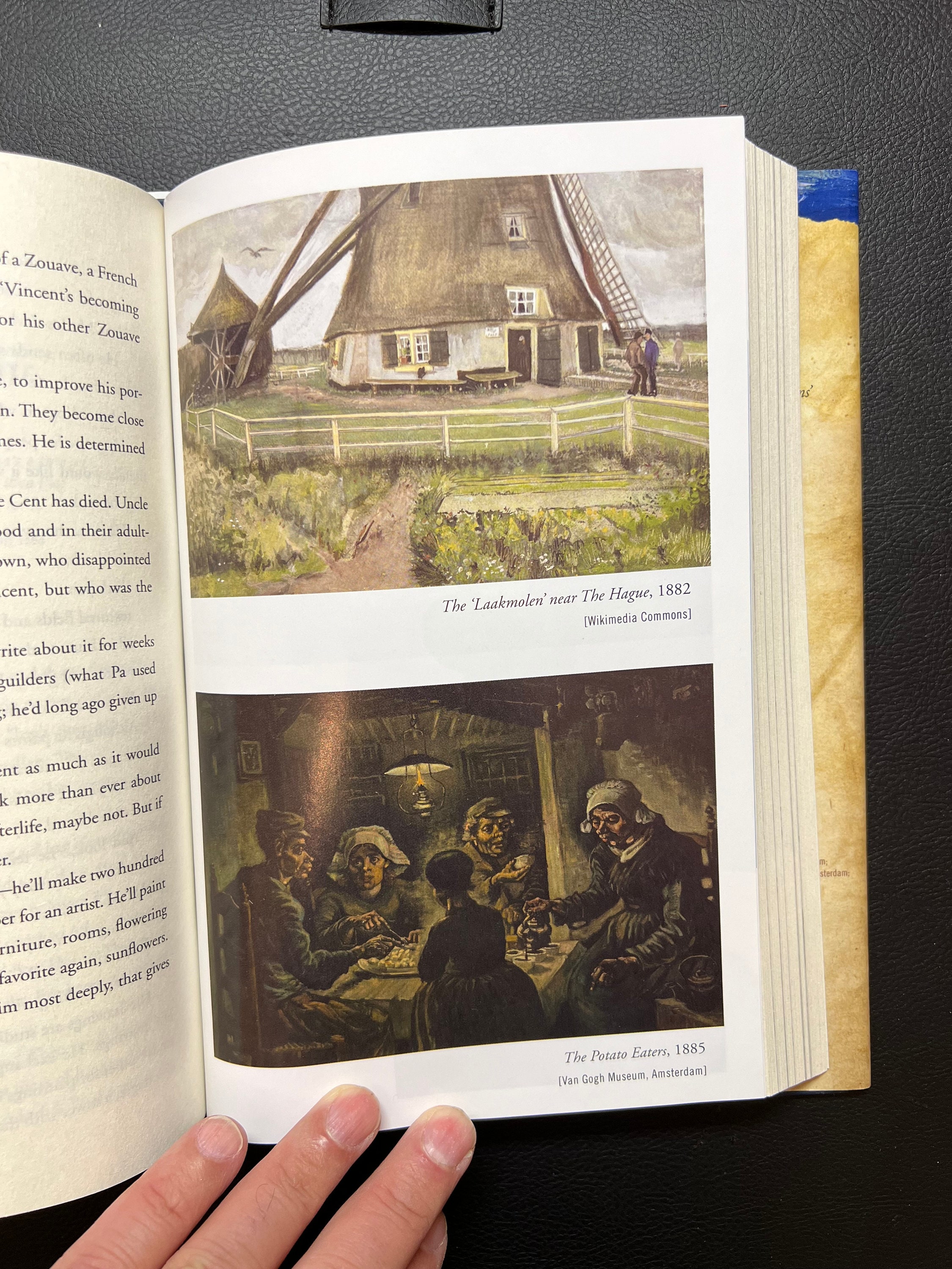 Vincent and Theo - the Van Gogh Brothers by Deborah Heiligman - First ...