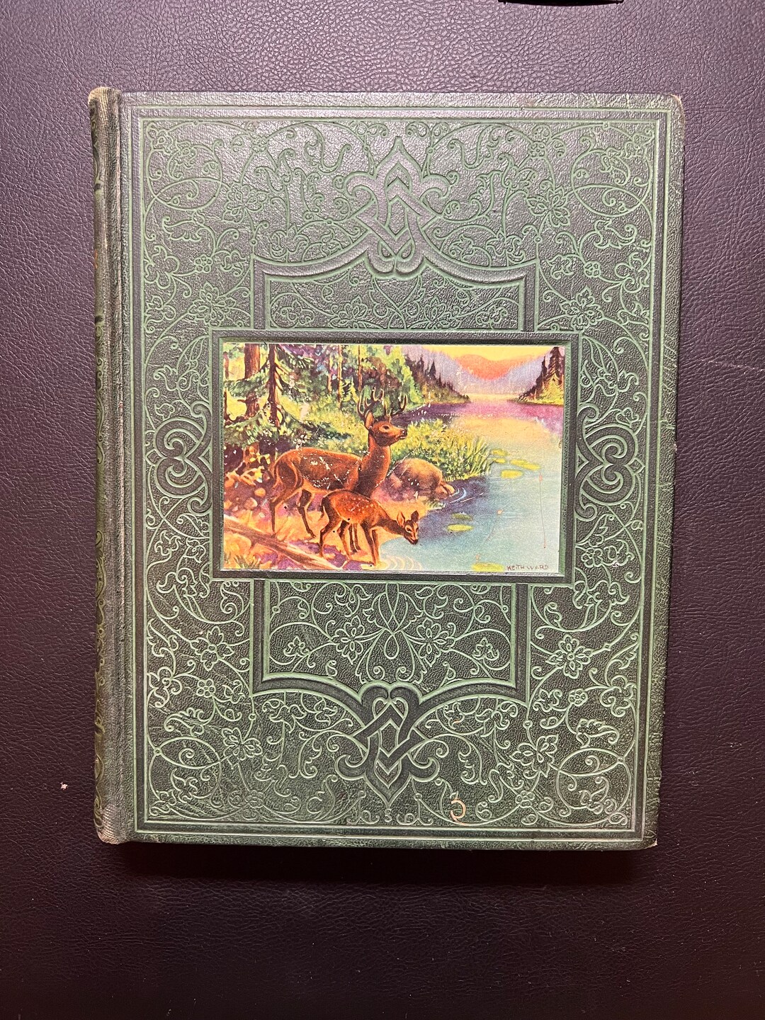 The New Wonder World the Nature Book Volume 3 copyright 1943 - Etsy