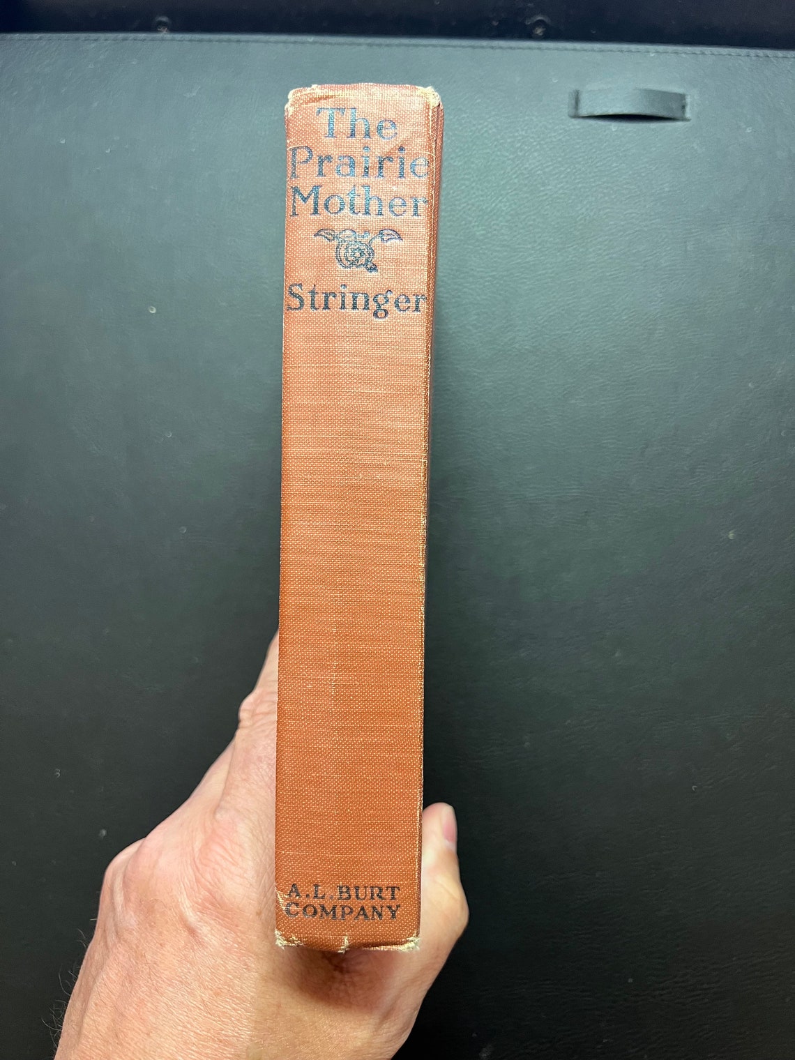 The Prairie Mother by Arthur Stringer (copyright 1920) - Etsy