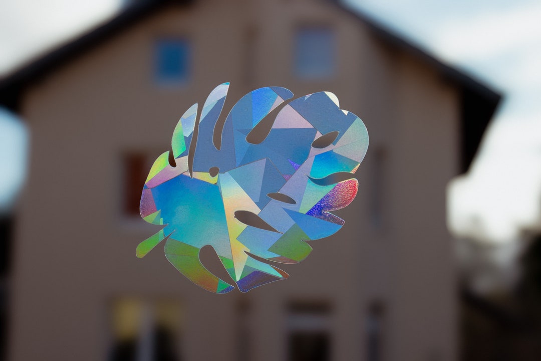 Sun Catcher Sticker Splitter Monstera - Etsy