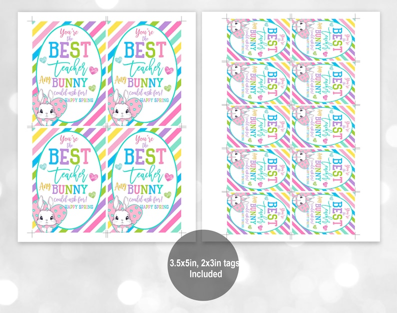 Bunny Teachers Appreciation Tag Happy Spring Teacher Gift Tag - Etsy