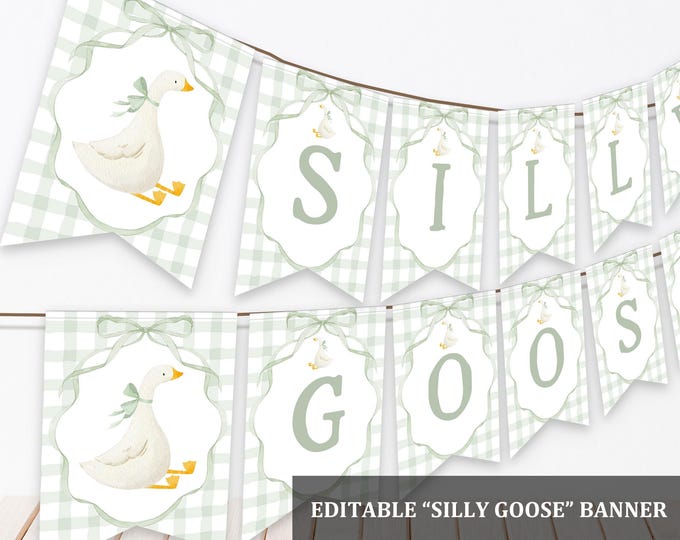 Silly Goose Birthday Banner. Silly Goose Birthday Party. 1st Birthday ...