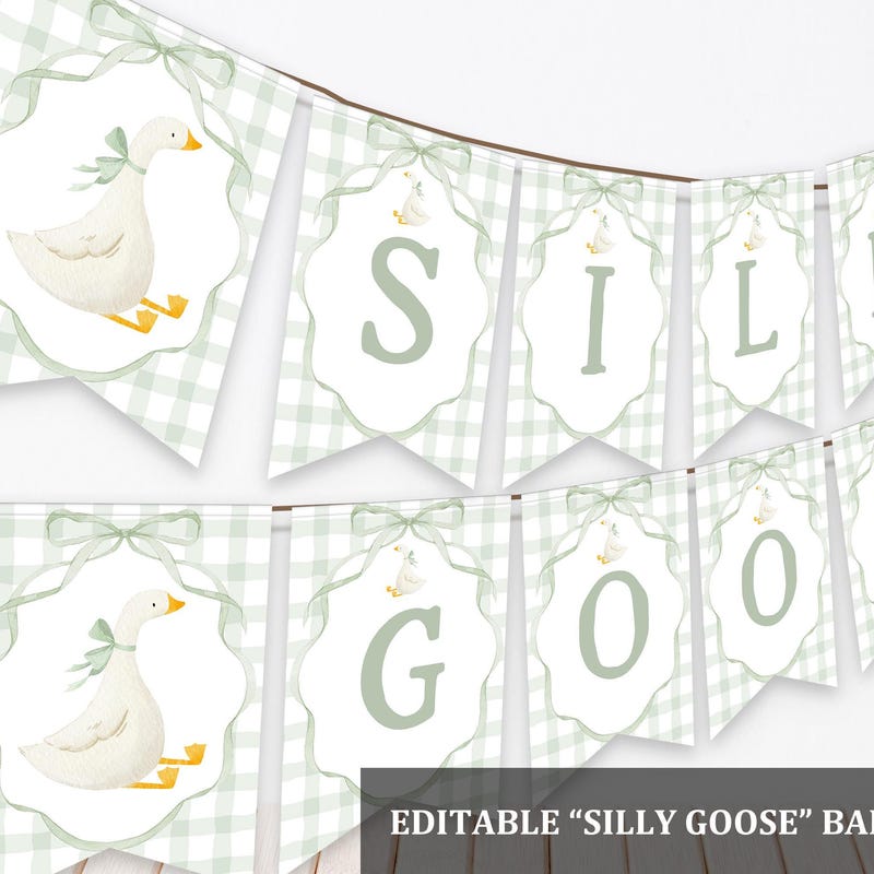 Baby Shower Goose Bunting - Etsy
