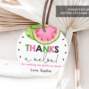 Editable Watermelon Thank You Tags Thanks a Melon Label One in a Melon ...