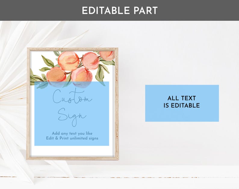 Peach Baby Shower Sign Bundle: Editable Printable Table Decor Bab353 - Etsy