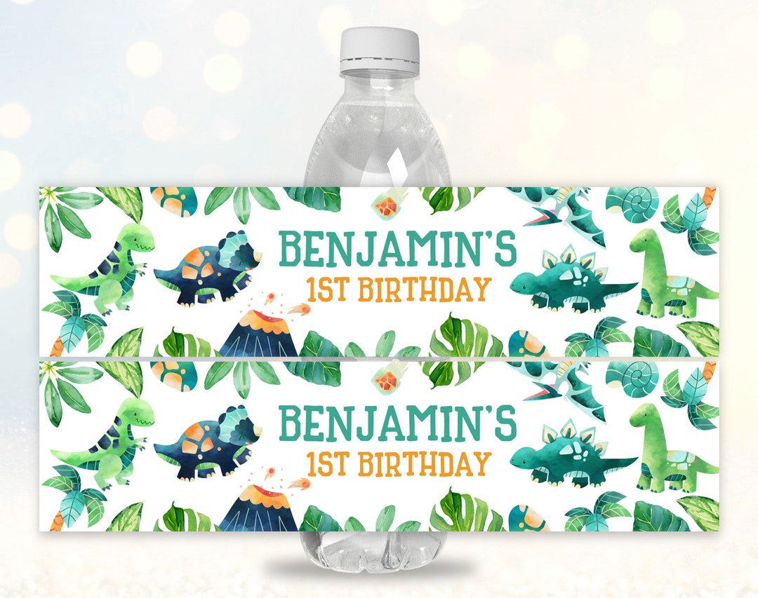 Dinosaur Birthday Water Bottle Label Cute Dino Party Wrapper Boy ...