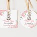 Bunny Birthday Thank You Tags Rabbit Label Spring Party Easter Girl ...