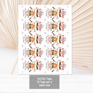 S'mores Valentine's Day Gift Tags Life is More Fun With a Friend Favor ...