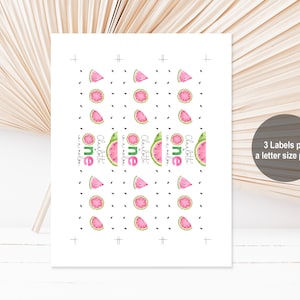 Editable One in a Melon Birthday Water Bottle Label Pink One in a Melon ...