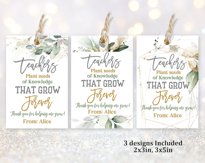 Teachers Plant Seeds That Grow Forever Large Tree Wall Decal With Peel ...