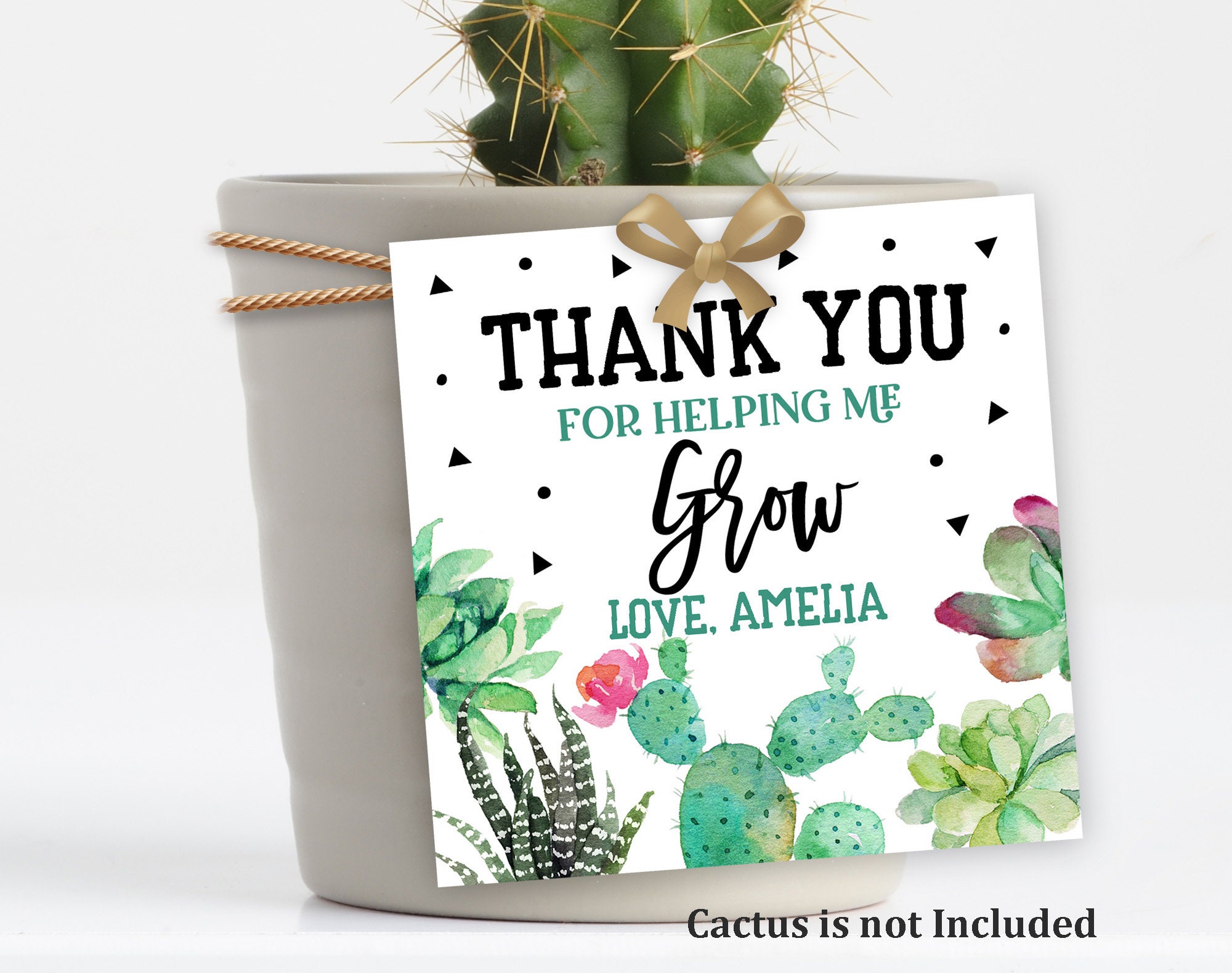Teacher Thank You Tags - Cactus Succulent Design, Editable Favor ...