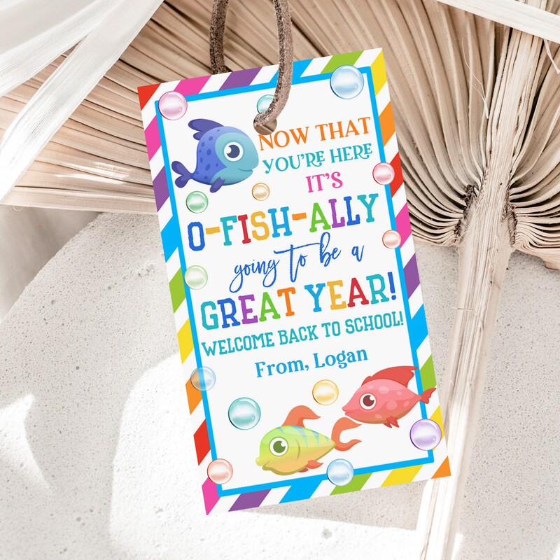 Back to School Cookies - Etsy