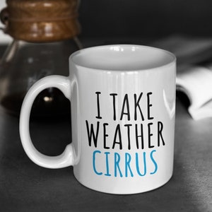Funny Meteorologist Gift - Meteorology Coffee Mug - I Take Weather ...
