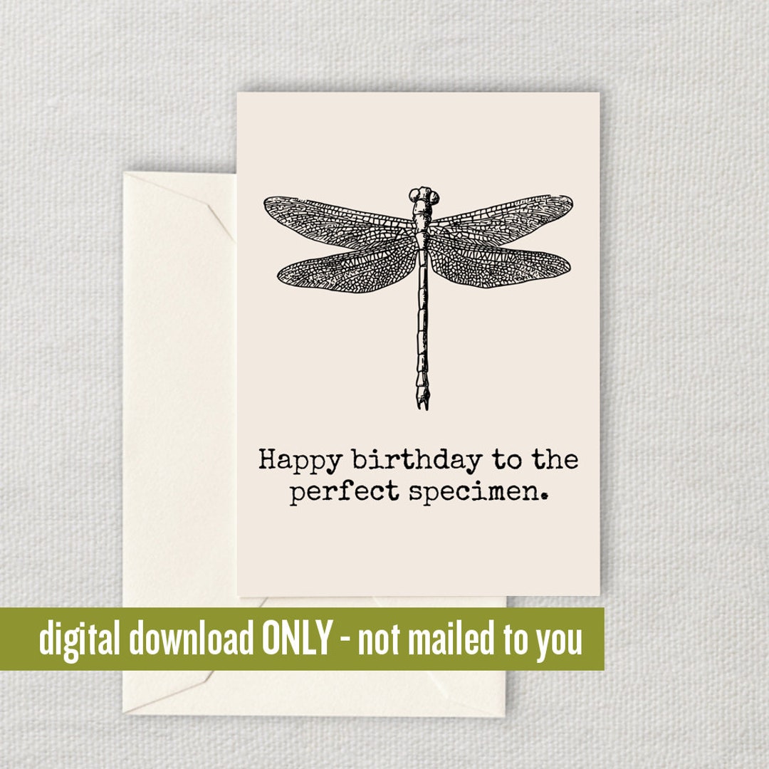 Entomologist Birthday Card - Entomology Greeting Card - Insect ...