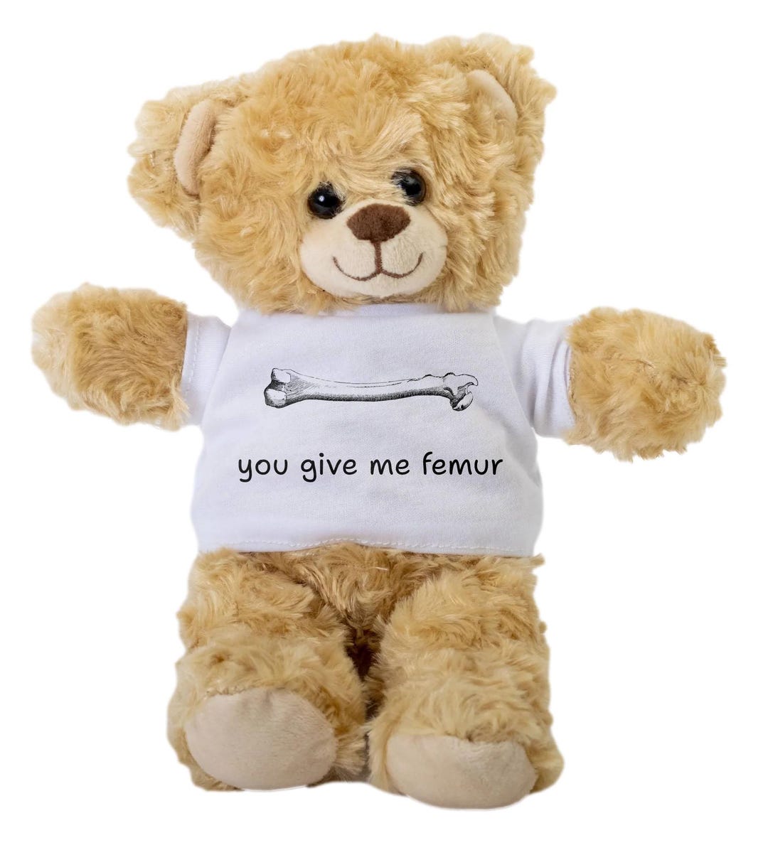 Funny Orthopedic Teddy Bear – "you Give Me Femur" – Medical Humor Gift ...
