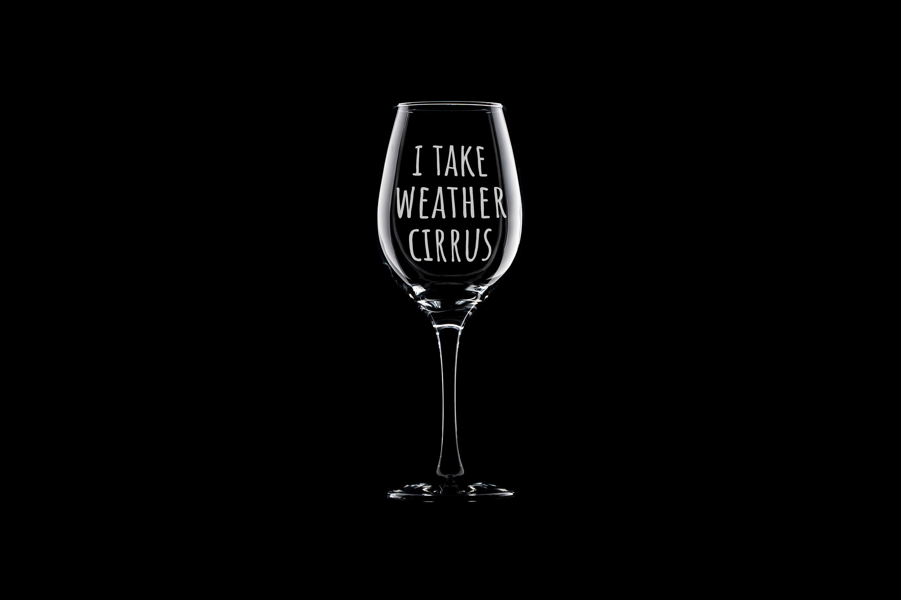Funny Meteorologist Gift - Meteorology Wine Glass - I Take Weather ...
