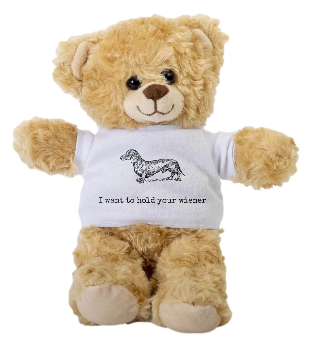 Sexy Teddy Bear - Valentine's Day Plushie - Naughty Gift for Boyfriend ...