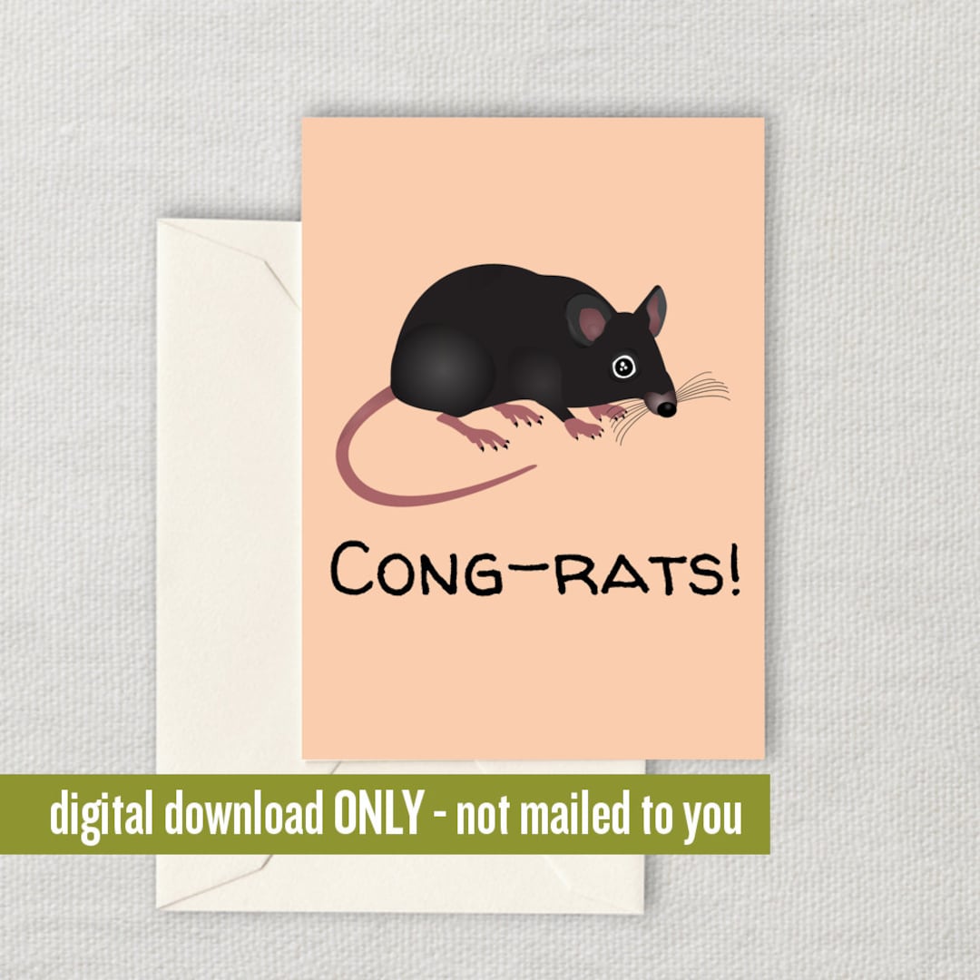 Funny Rat Greeting Card - Rat Birthday Card - Gift for Rat Lovers - Rat ...