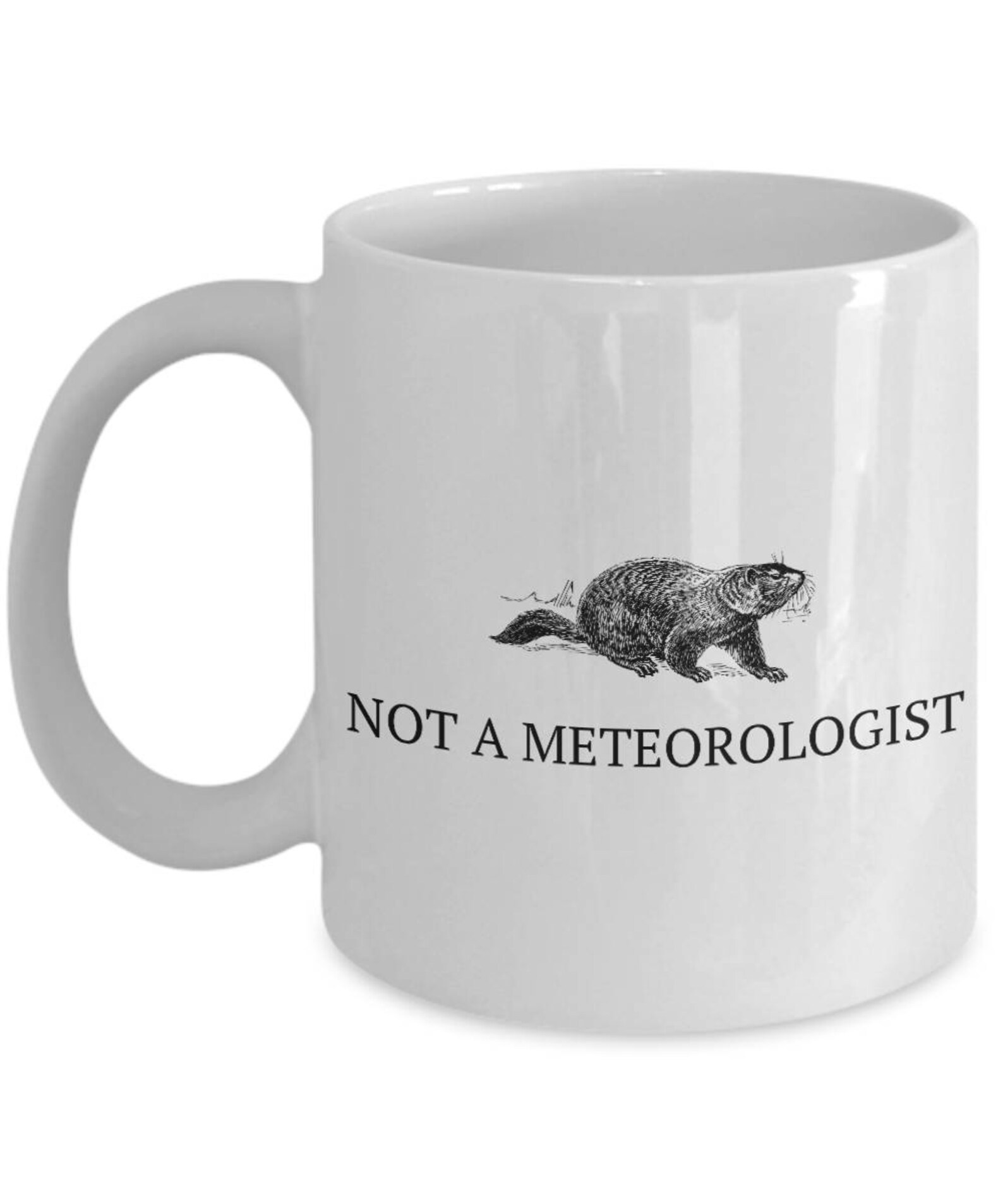 Meteorology Gift Weather Science Coffee Mug Meteorologist | Etsy