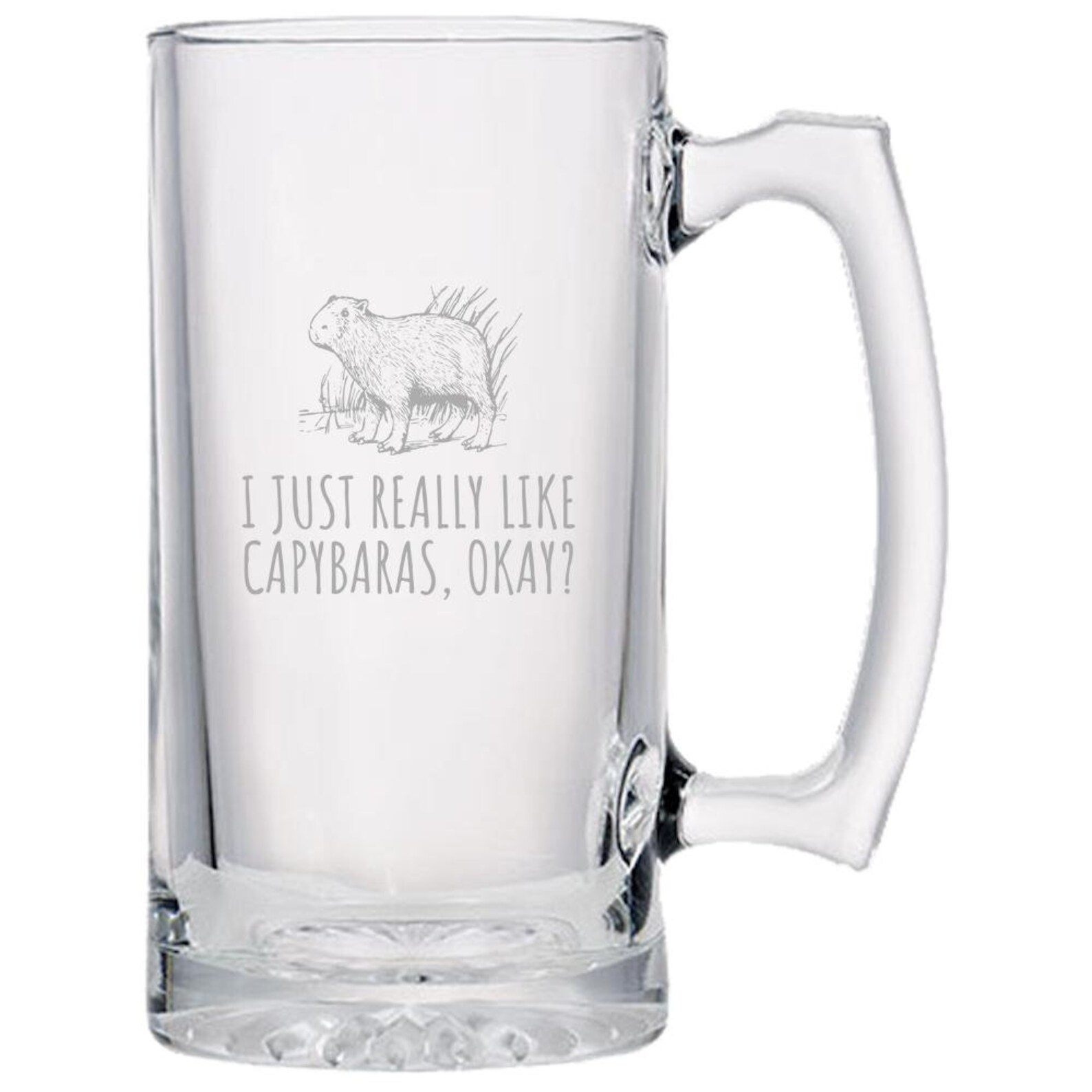 Funny Capybara Beer Mug Capybara Lover Gift Idea Capybara - Etsy