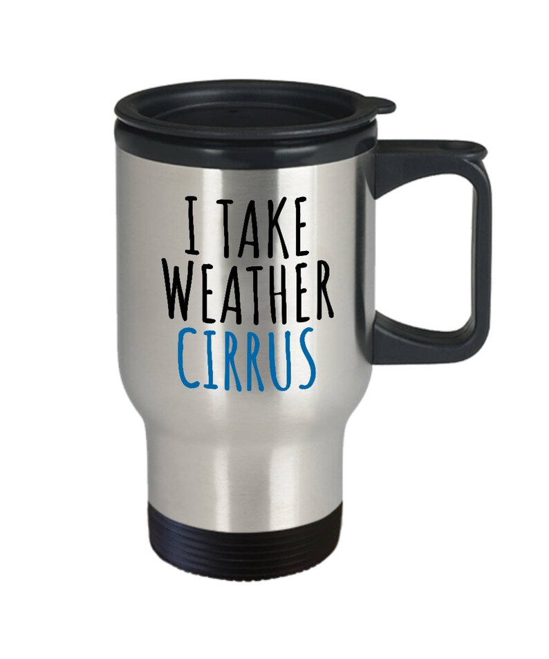 Funny Meteorologist Gift Meteorology Travel Mug I Take - Etsy