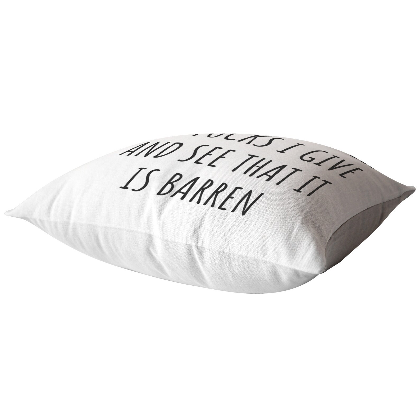 Sarcasm Pillow Funny Sarcasm Gift INTJ Gift Idea Behold - Etsy
