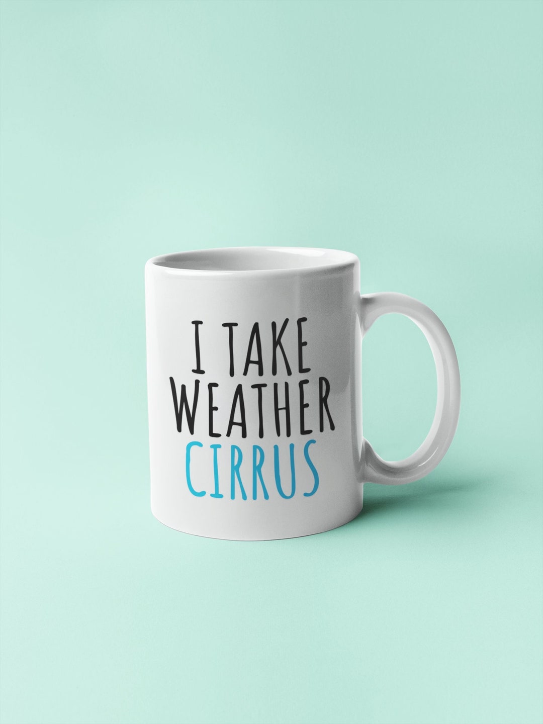 Funny Meteorologist Gift - Meteorology Coffee Mug - I Take Weather ...