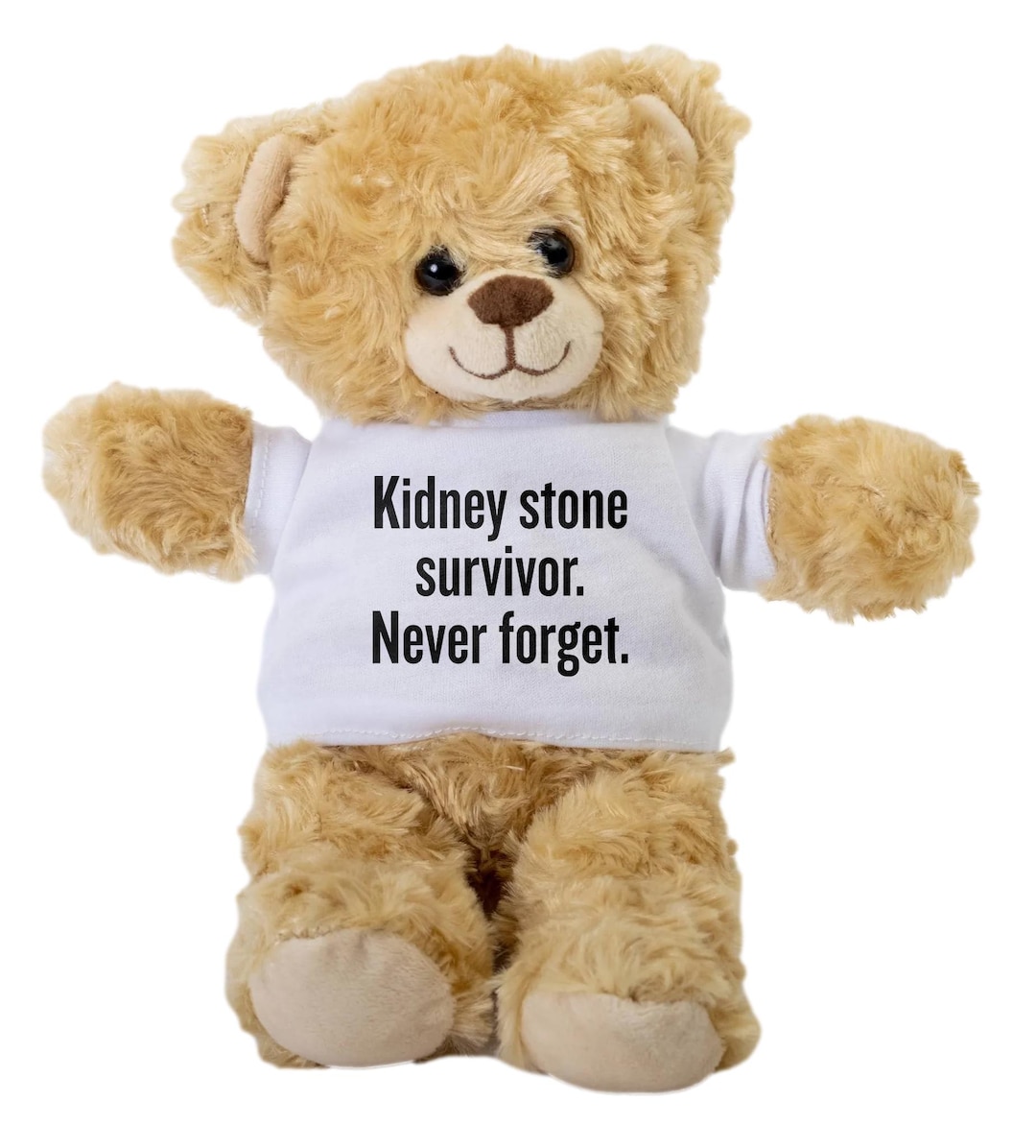 Kidney Stone Gift – Funny Get Well Plush Teddy Bear – Recovery Humor ...