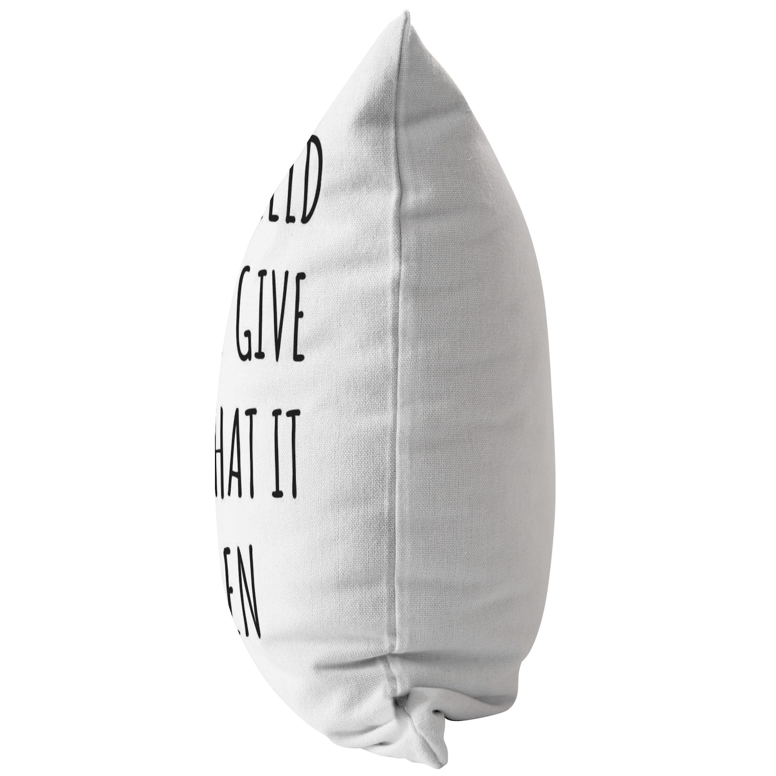 Sarcasm Pillow Funny Sarcasm Gift INTJ Gift Idea Behold - Etsy