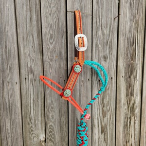 Rope Nose Muletape Halter Leather Hybrid Halter Custom Horse Tack - Etsy