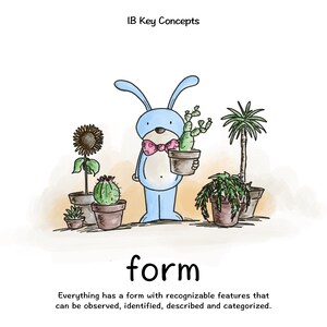 IB Key Concepts printable posters | Etsy